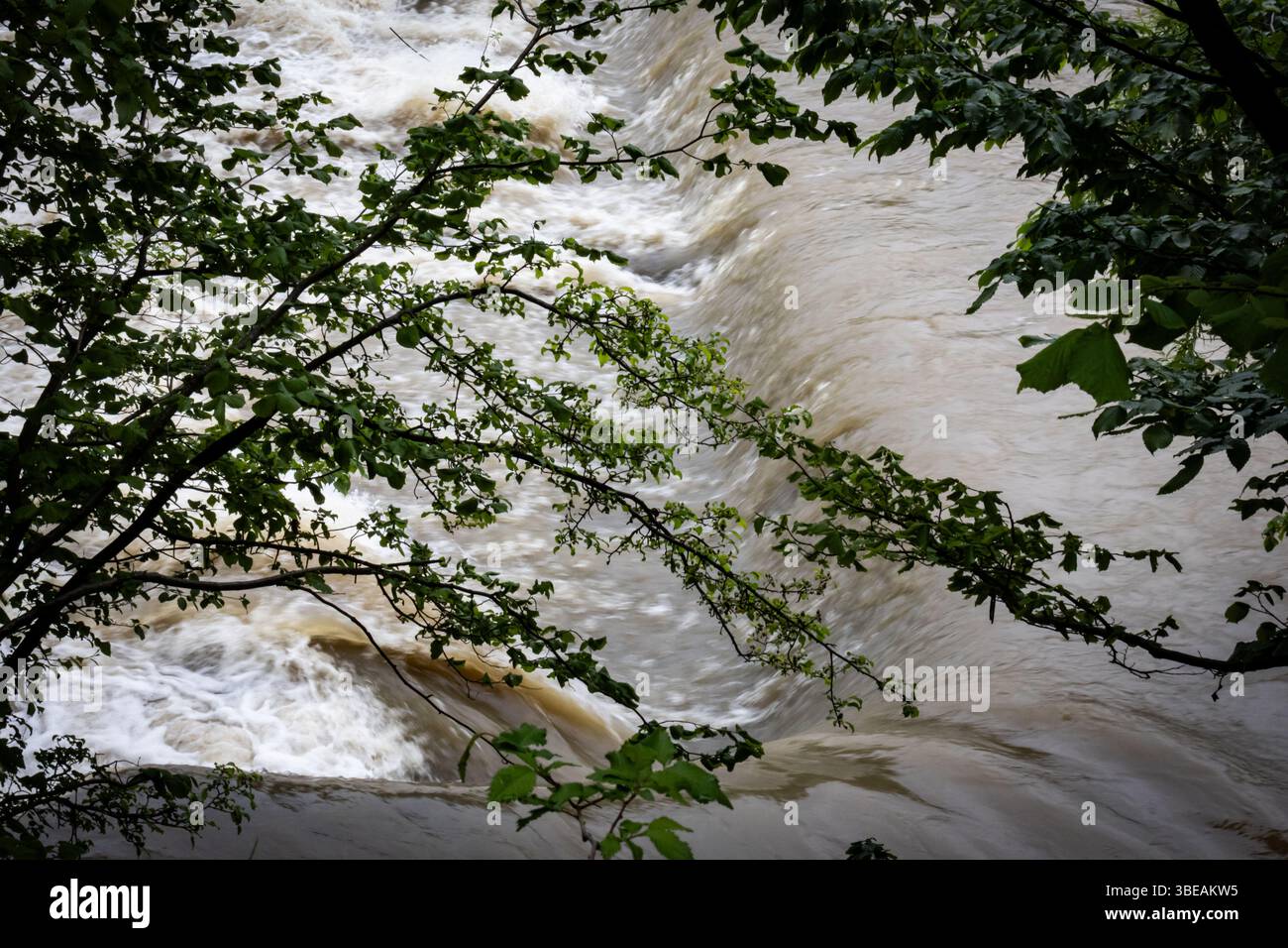 Graceful river flow dynamic hi-res stock photography and images - Alamy