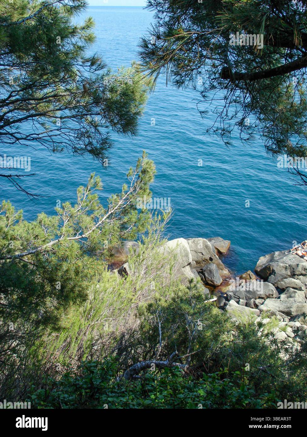 Mediterranean pine trees rocky hi-res stock photography and images - Alamy