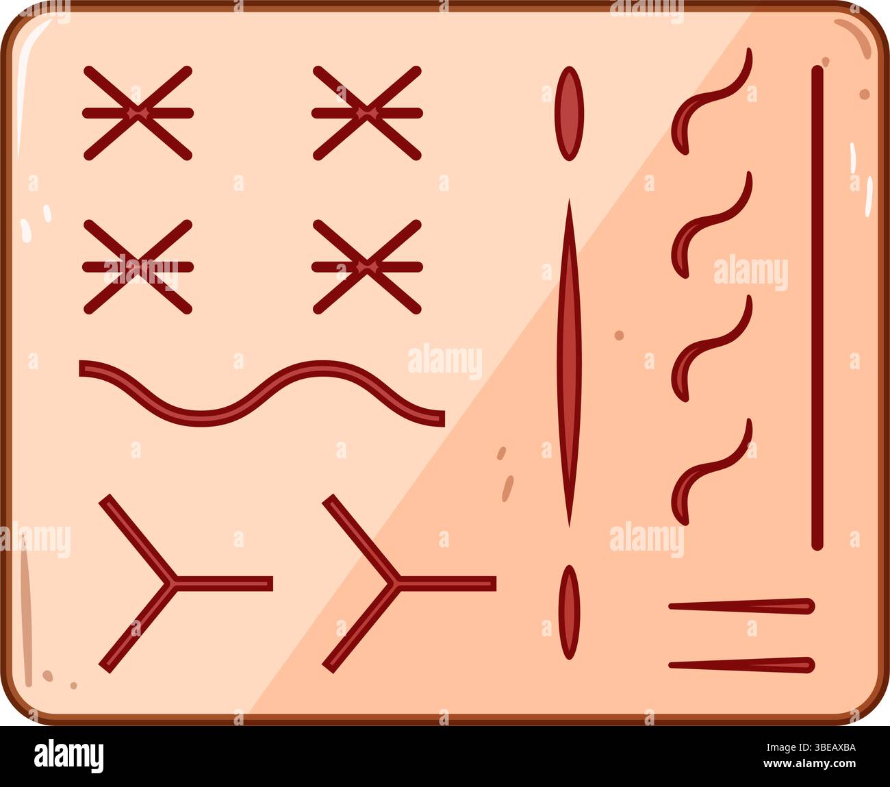 training suture practice pad cartoon vector illustration Stock Vector Image & Art - Alamy