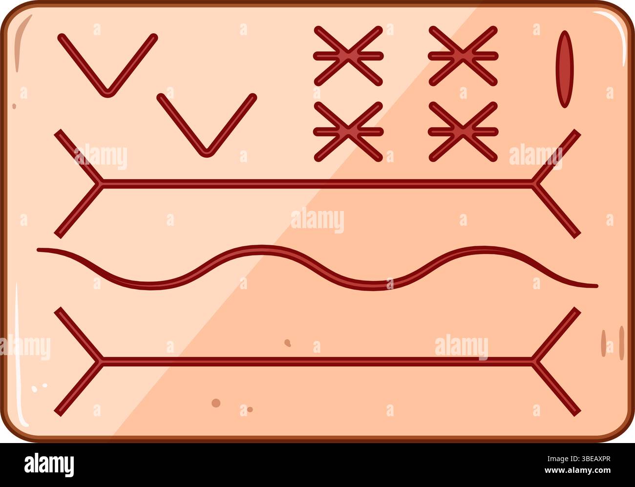 closure suture practice pad cartoon vector illustration Stock Vector ...