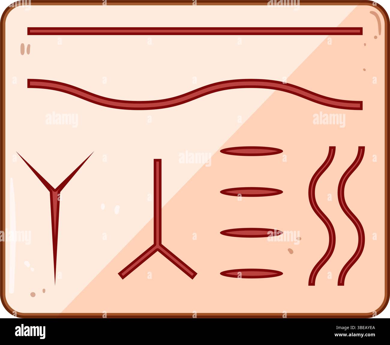 education suture practice pad cartoon vector illustration Stock Vector ...