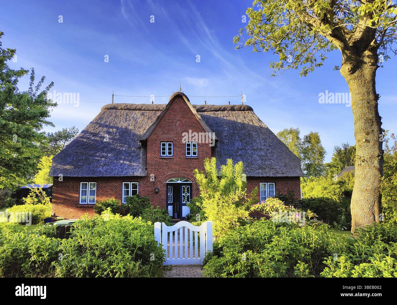 Uthlandfriesian house, typical, small thatched-roof houses with gables ...
