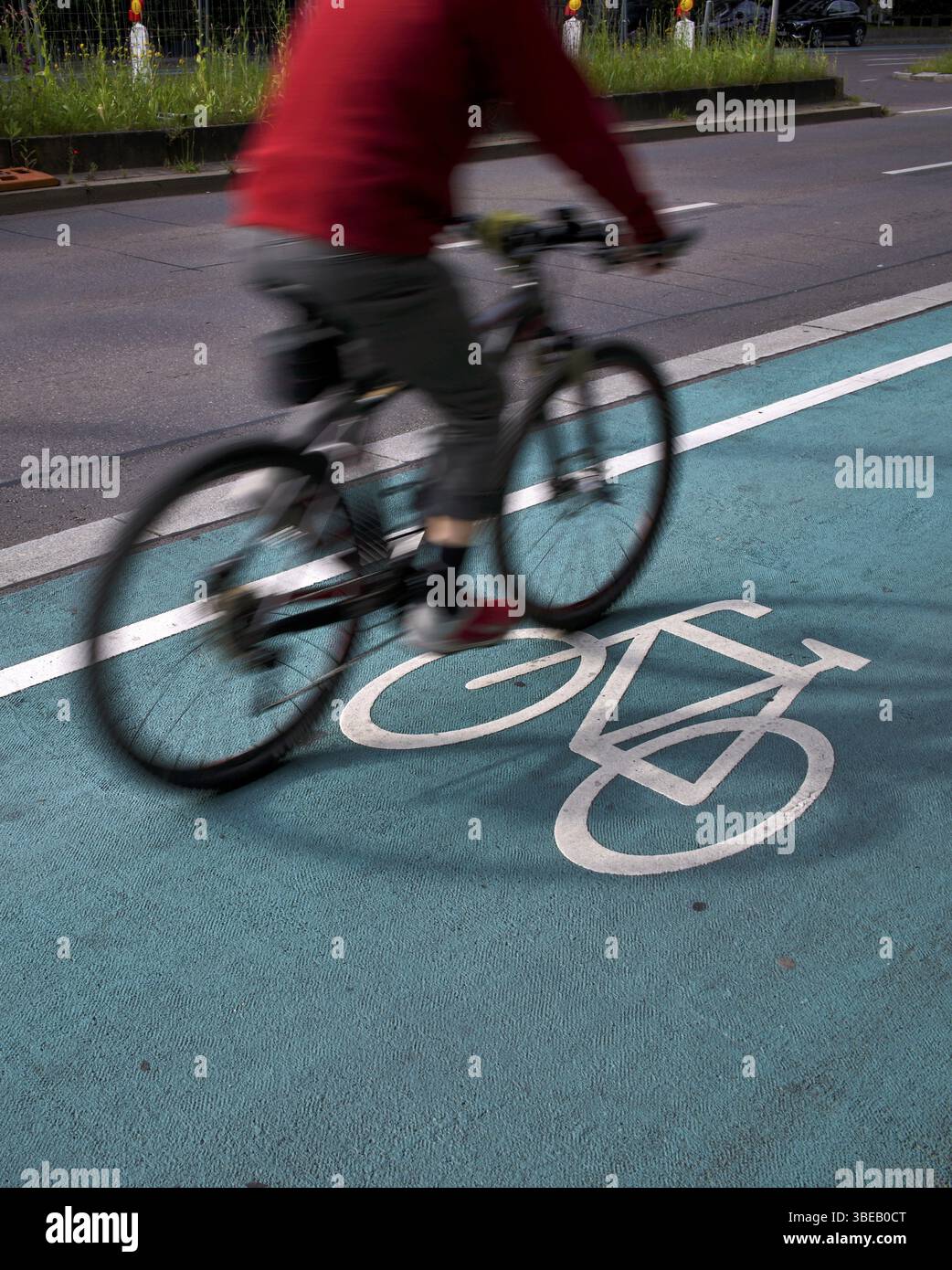 Bicycle, cyclist, rides on cycle path, pictogram, logo, labelling, next ...