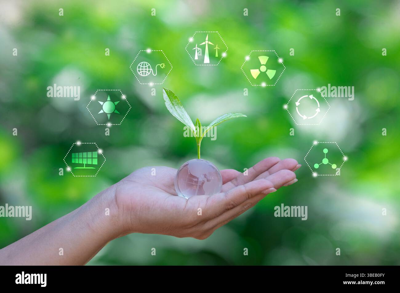 Environment Day, World Environment Day, Conservation, Campaign ...