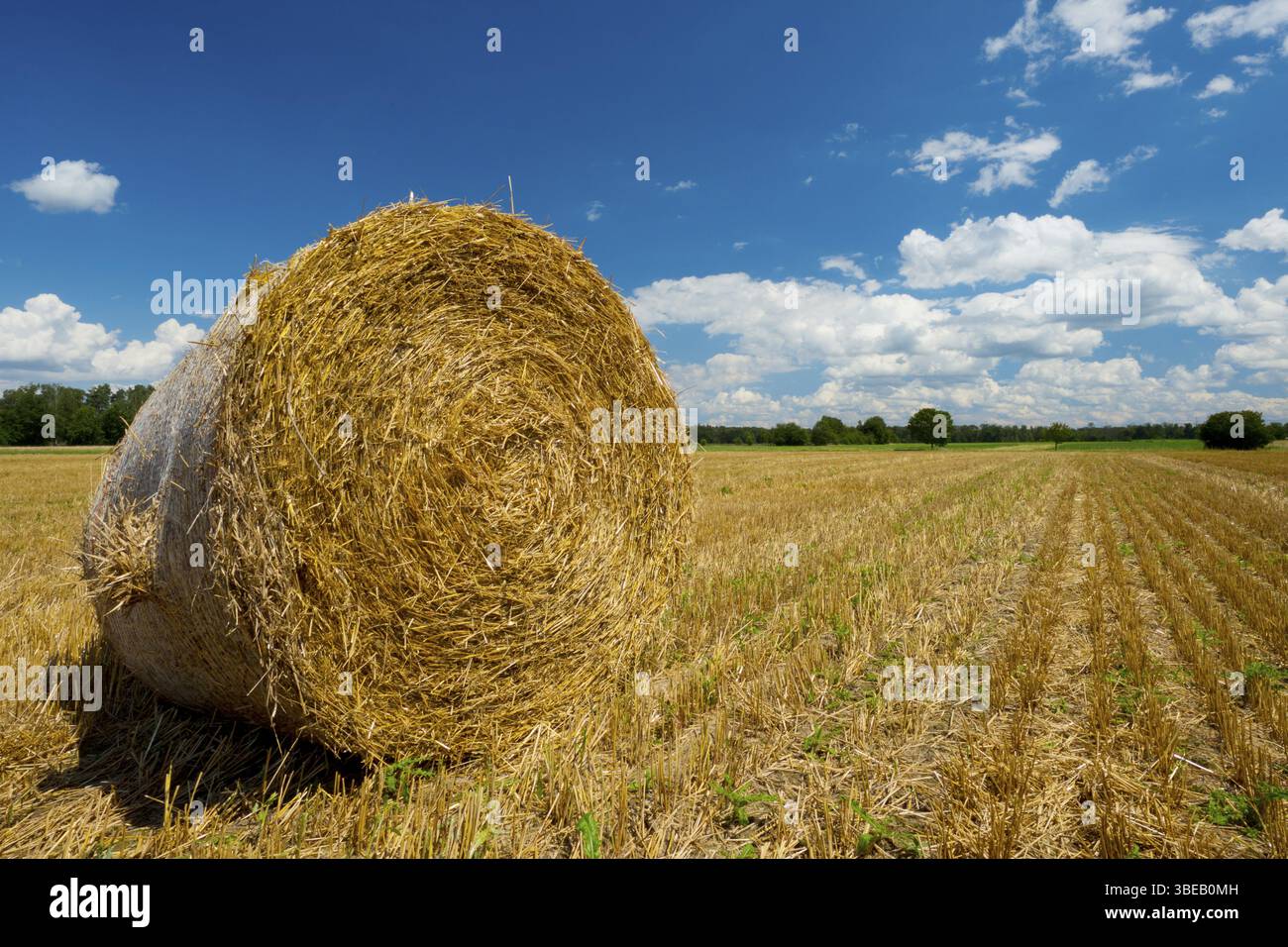 A hay bale on a grain field, Federal Republic of Germany Stock Photo ...