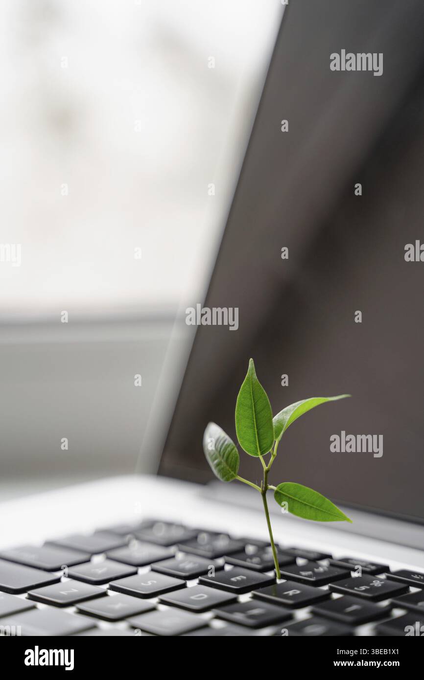 Personal growth digital technology concept hi-res stock photography and ...