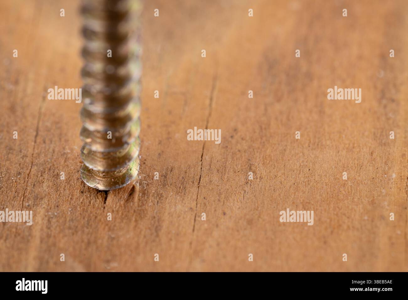 Detailed Screw Thread In Wood Grain Stock Photo - Alamy