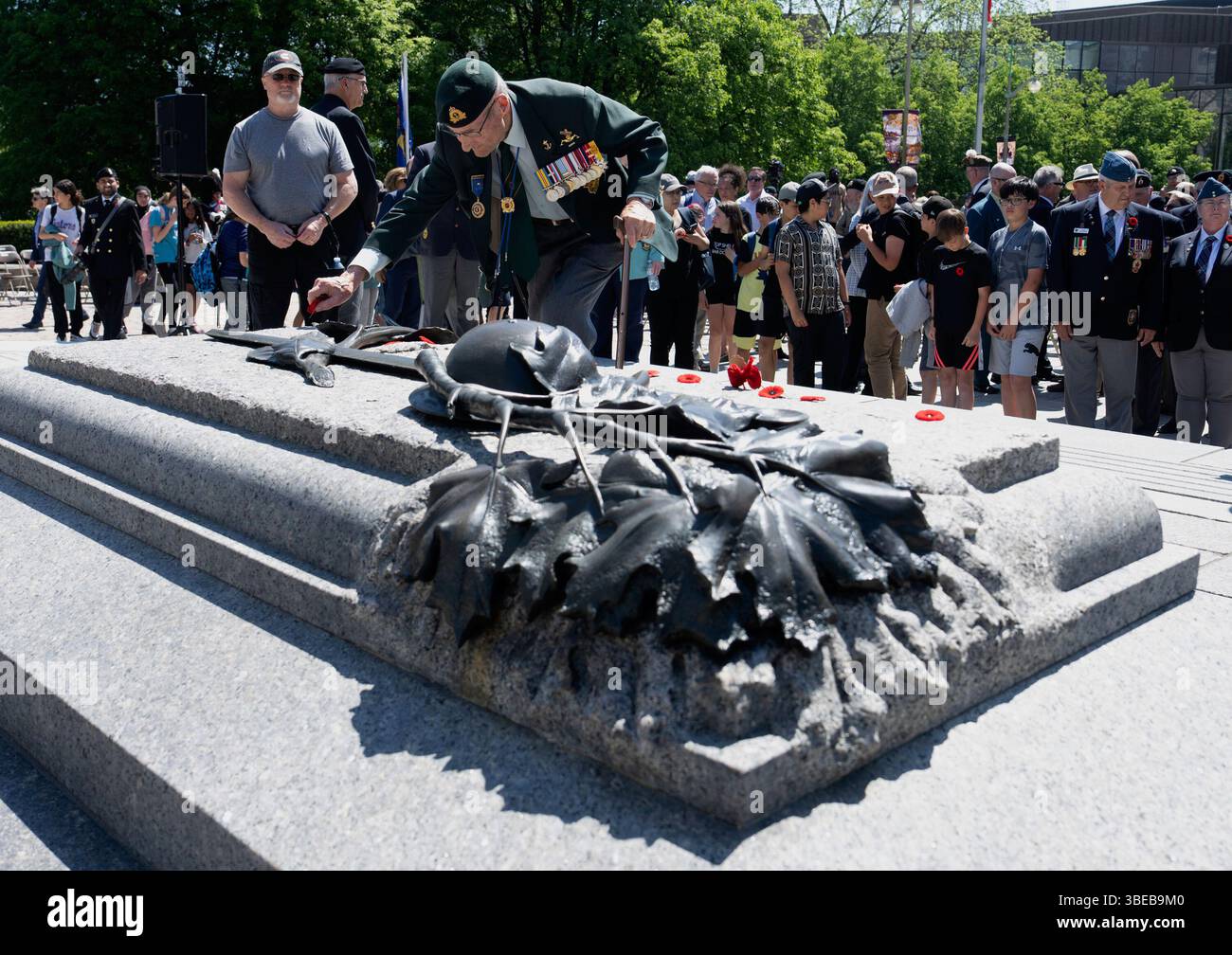 A veteran places his poppy on the Tomb of the Unknown soldier following ...