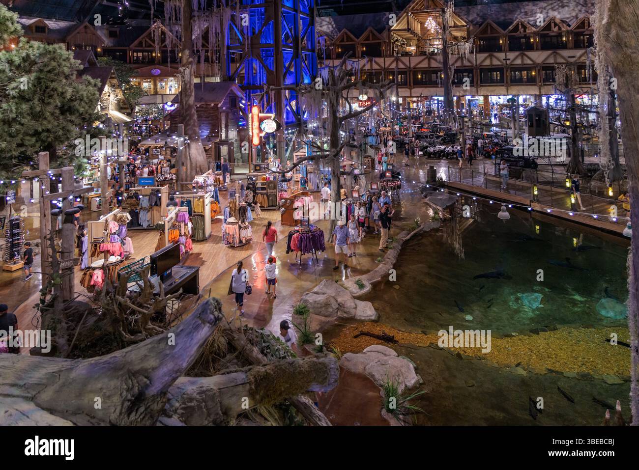 Trees and a pond inside the Bass Pro Shops and Ducks Unlimited in the ...
