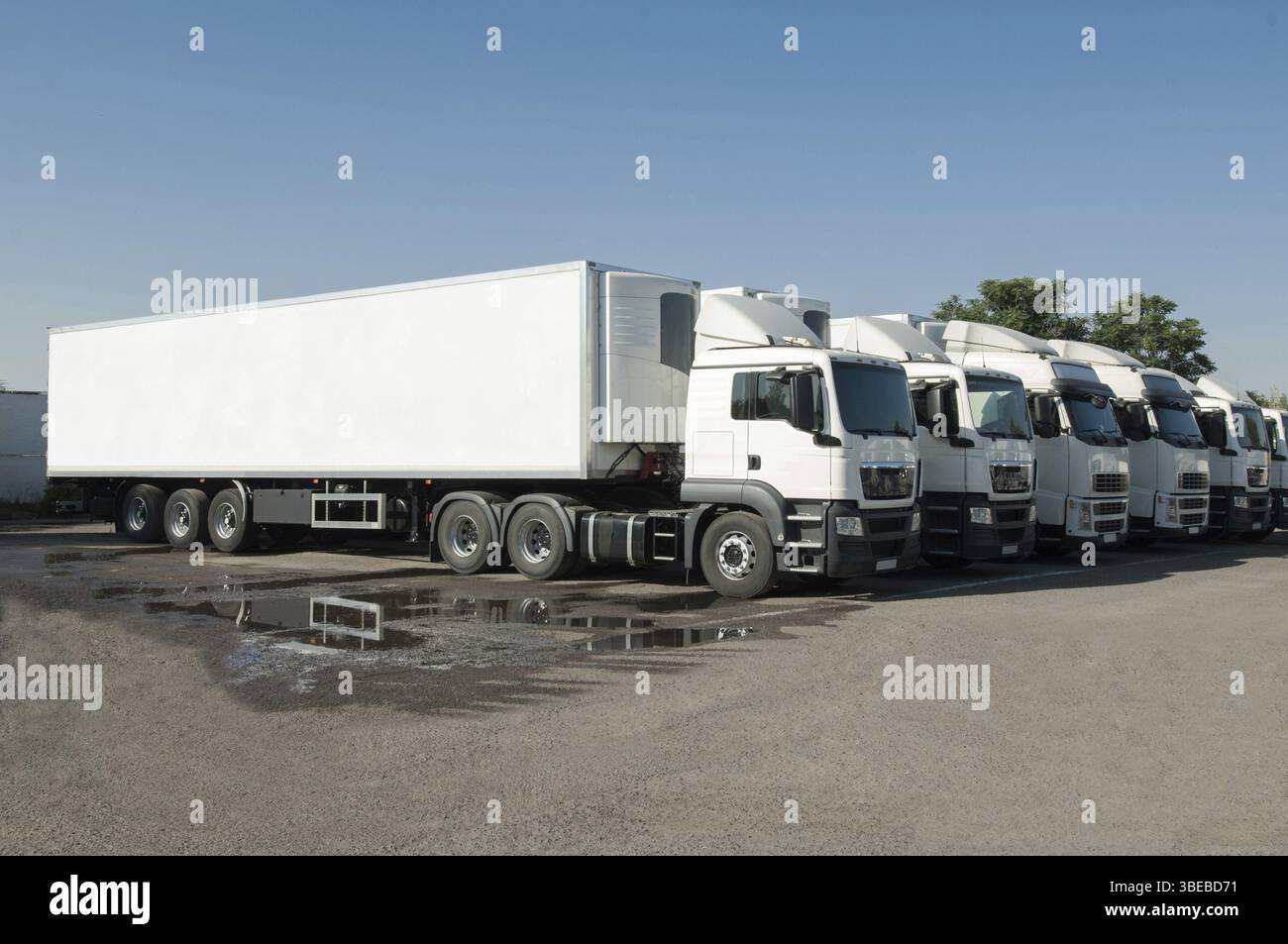 Cargo vehicles stand in a row on a parking. freight transportation ...