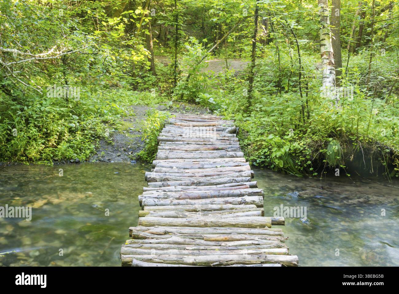 Homemade wooden bridge over a small river forest Stock Photo - Alamy