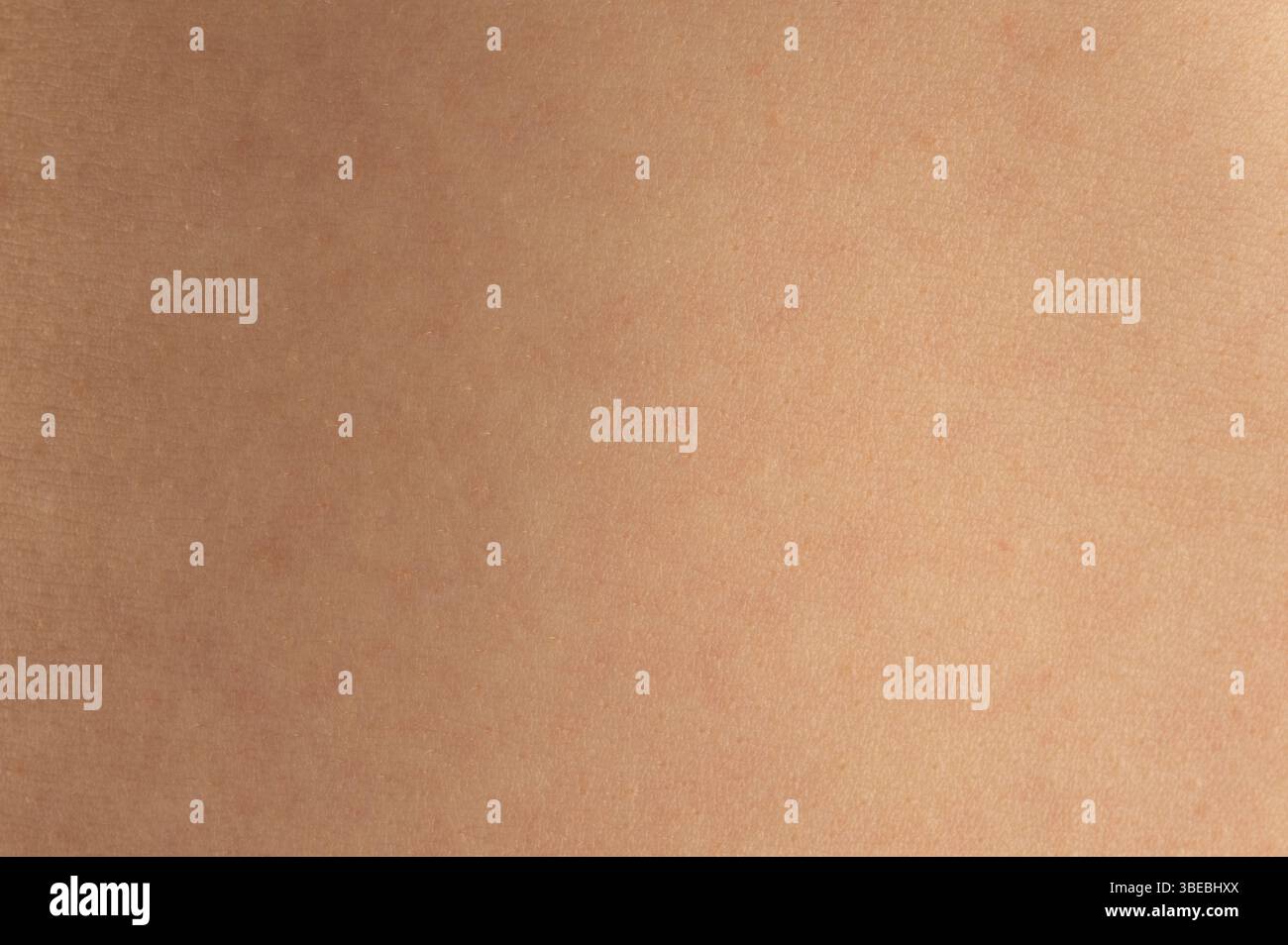 Close-up view reveals natural skin texture with smooth finish ...