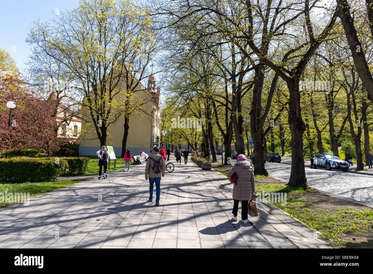 Tree Lined Street in Tallinn Estonia Stock Photo - Alamy