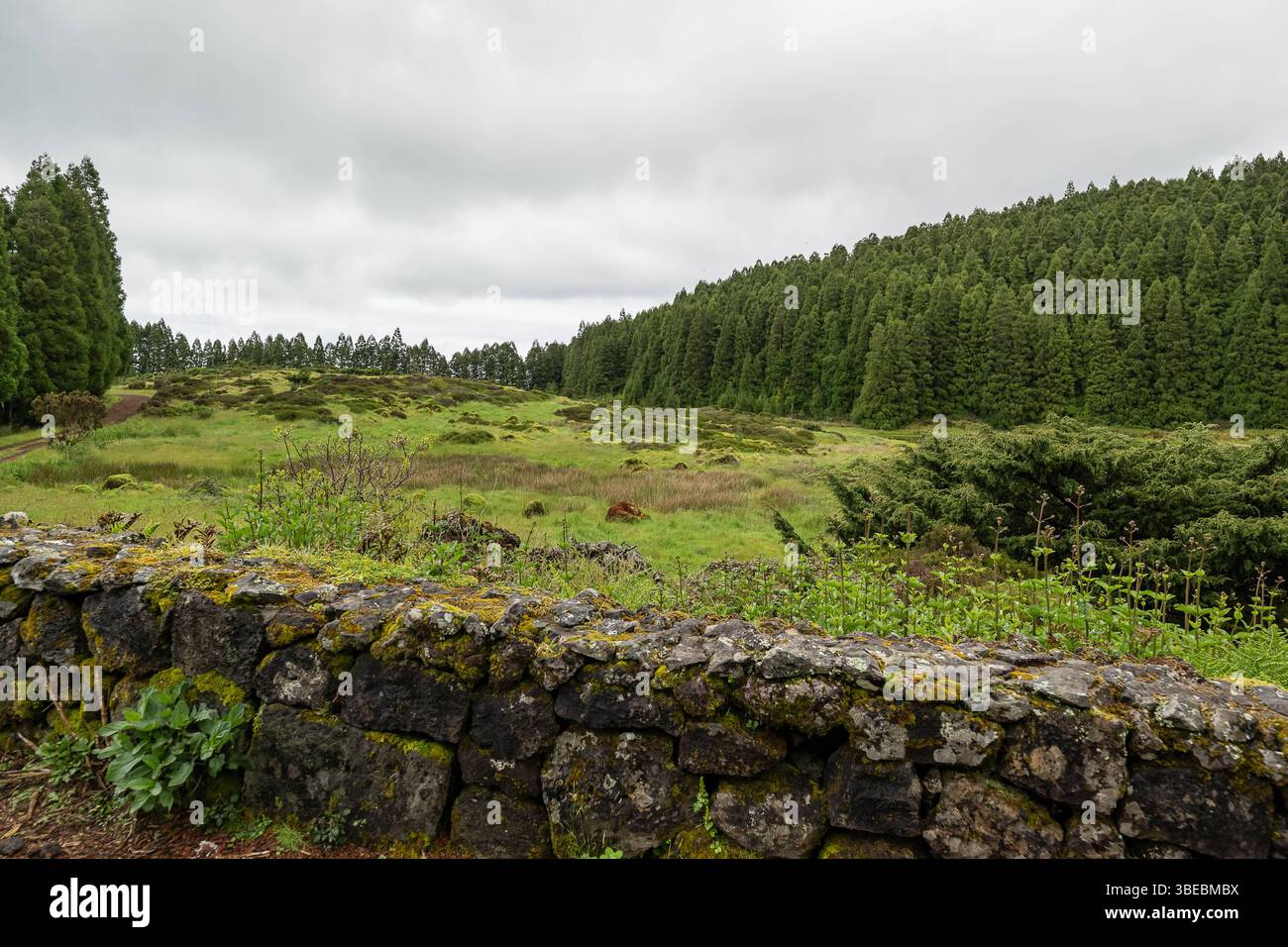 Terceira POR, Themenbild Reisen, Insel Terceira, Azoren, Portugal, 27. ...