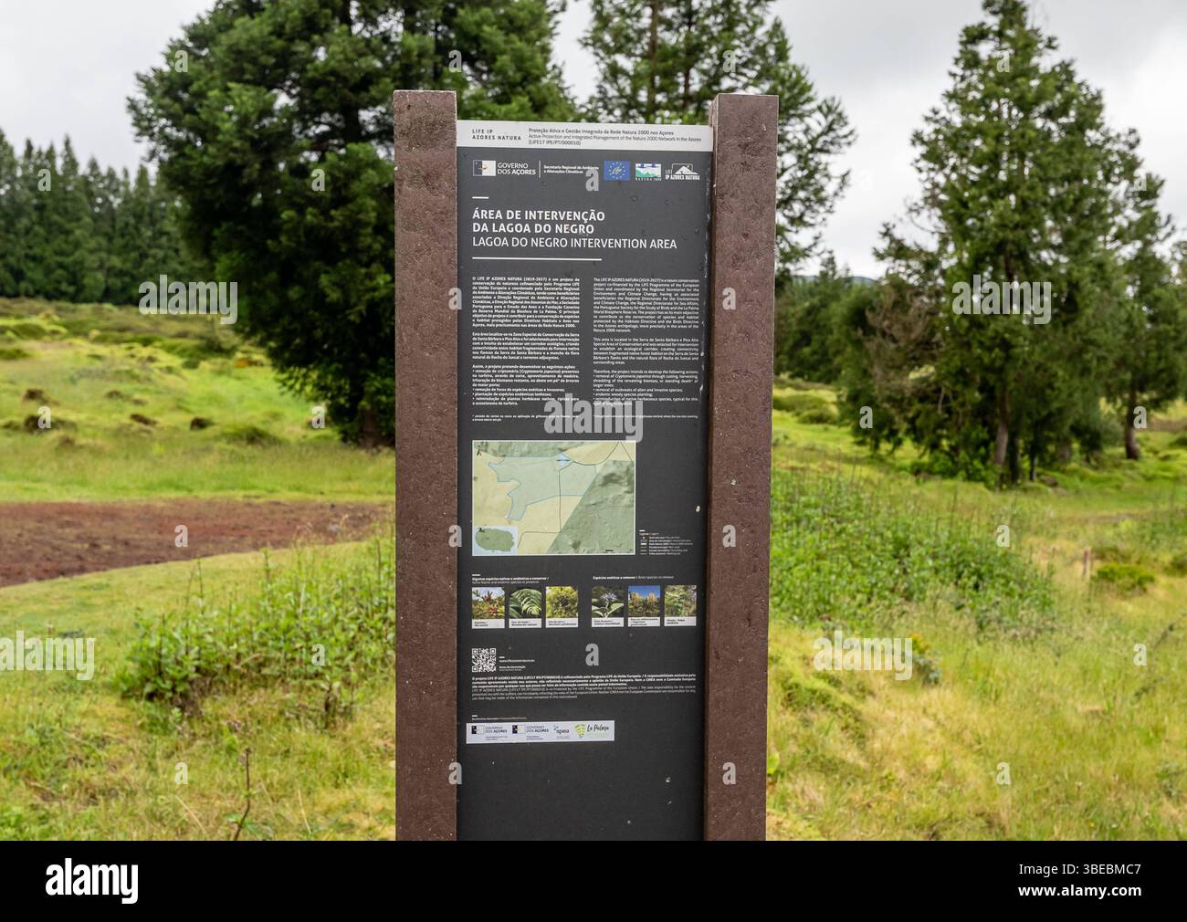 Terceira POR, Themenbild Reisen, Insel Terceira, Azoren, Portugal, 27. ...
