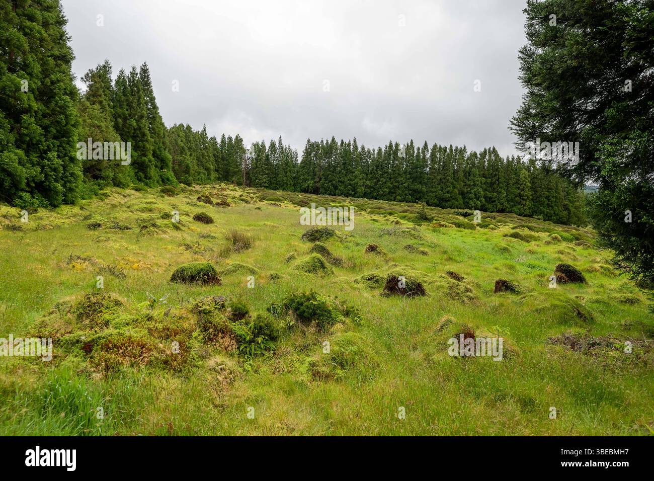 Terceira POR, Themenbild Reisen, Insel Terceira, Azoren, Portugal, 27. ...