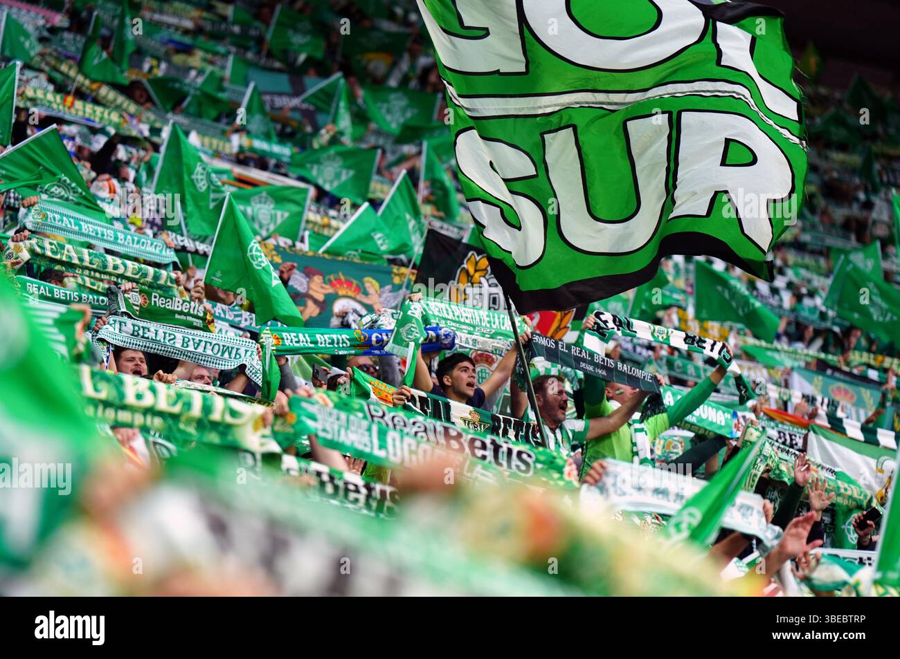 Real Betis fans in the stands ahead of the UEFA Conference League final ...