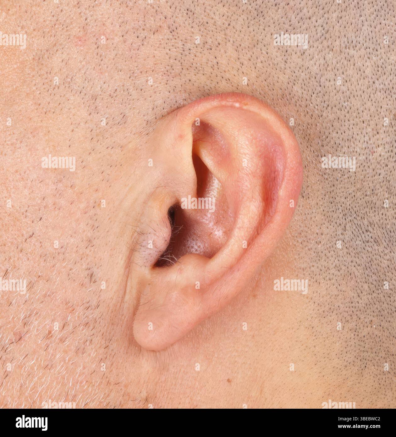 Extreme close up revealing the intricate details of an adult man's ...