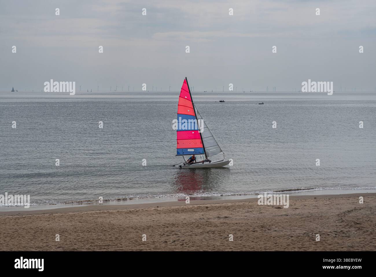 A small catamaran sails along the beach in Brittany Stock Photo - Alamy