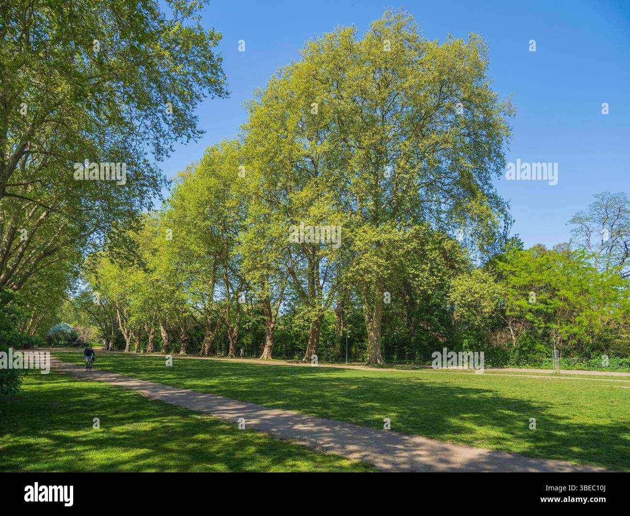 Fulham Palace, Bishop's Park, London Stock Photo - Alamy