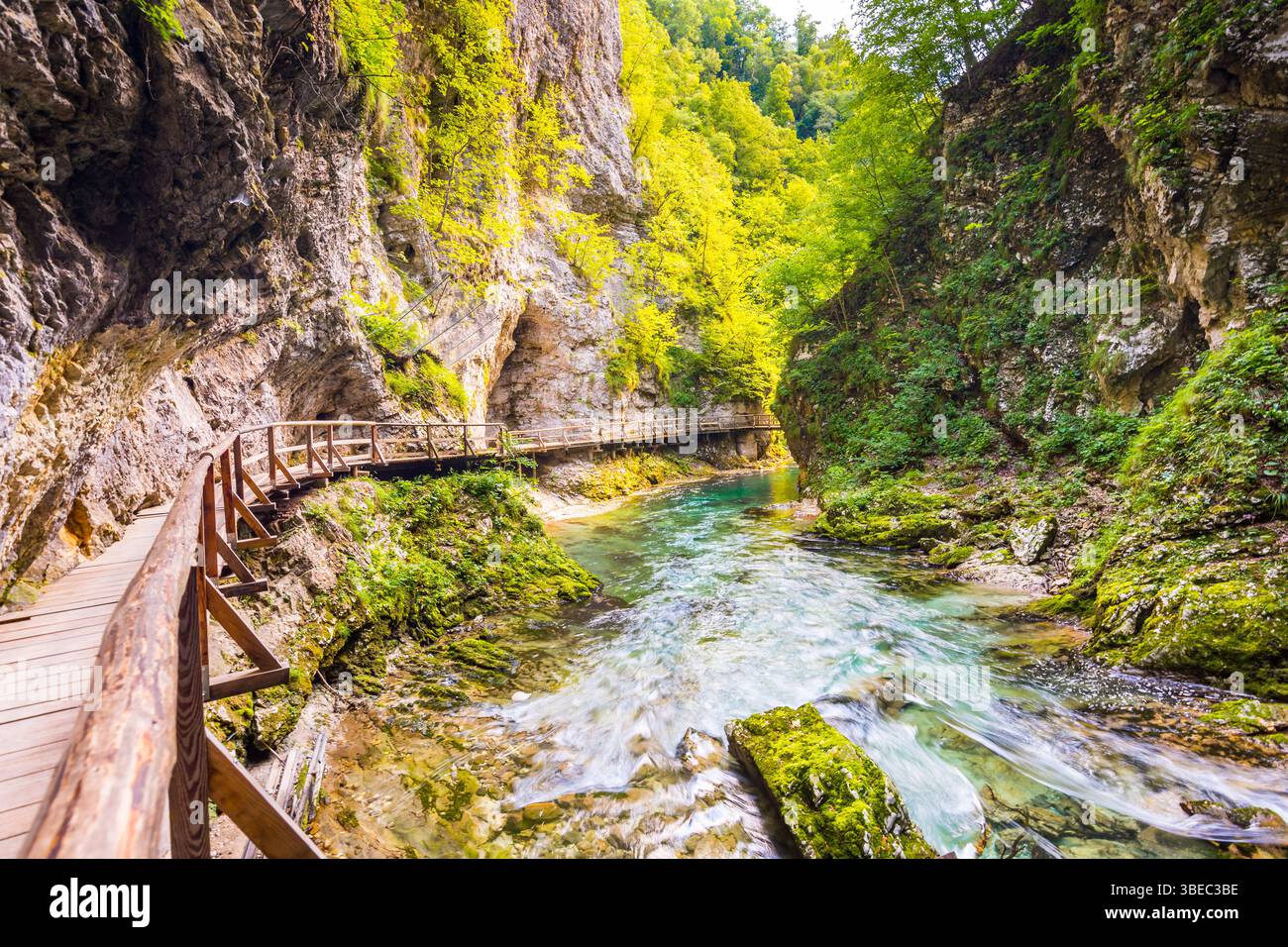 Vintgar gorge, Slovenia. The Radovna river with wooden paths and bridge ...