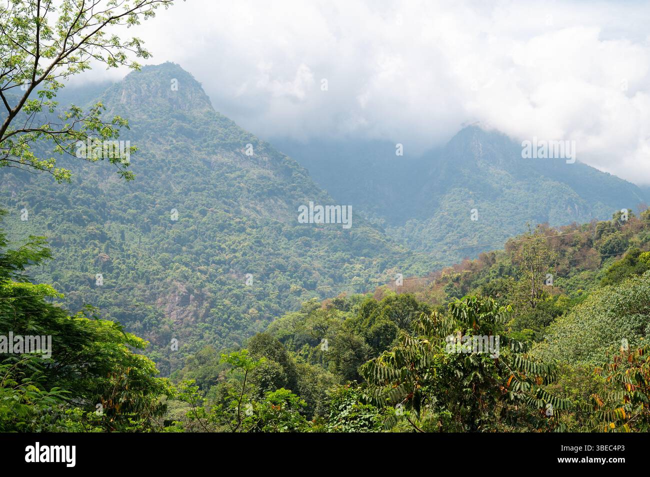 Coimbatore tamil nadu south india hi-res stock photography and images ...