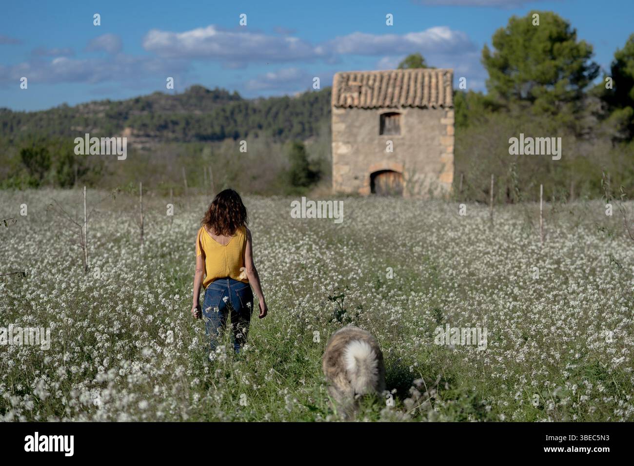 Los destellos (2024) Glimmers (2024) Patricia López Arnaiz *Filmstill ...