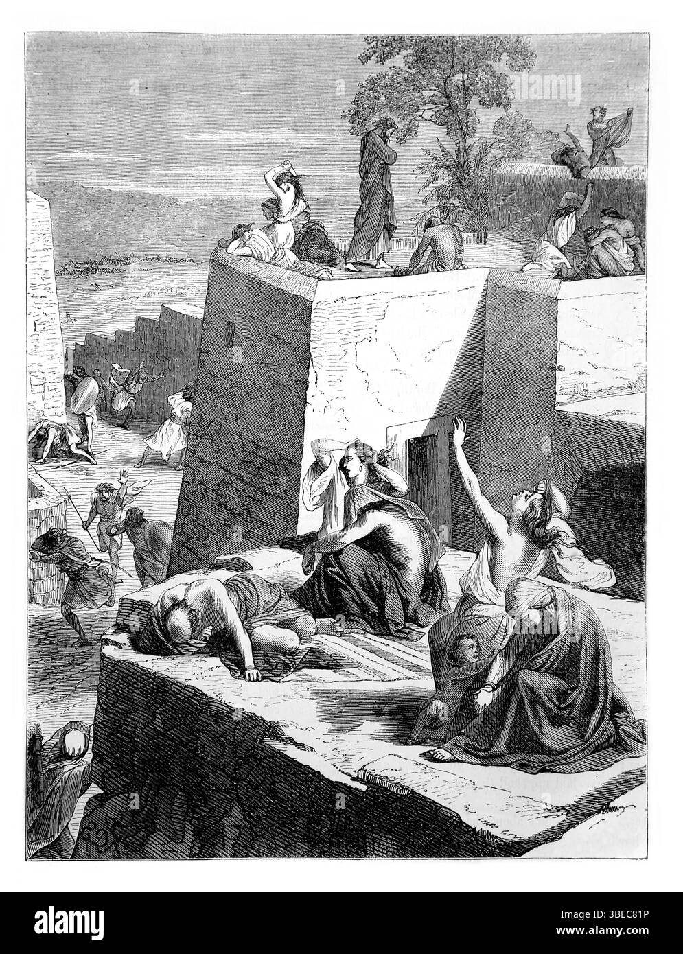 Illustration of Isaiah XV.3 "On the tops of their houses and in their ...