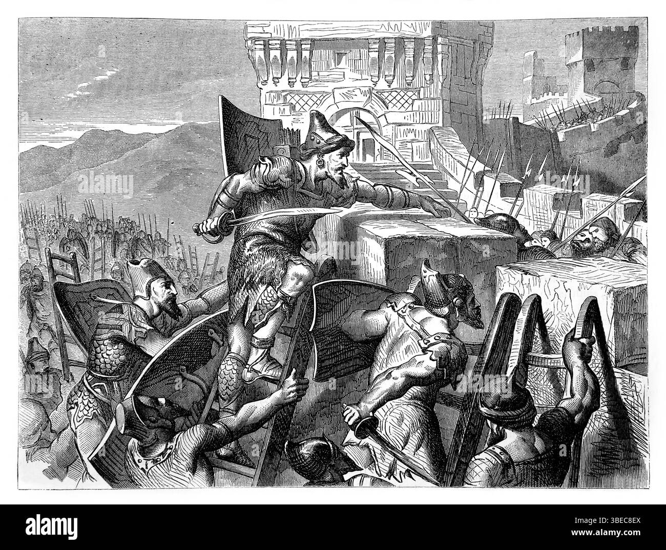 T scales Cut Out Stock Images & Pictures - Alamy