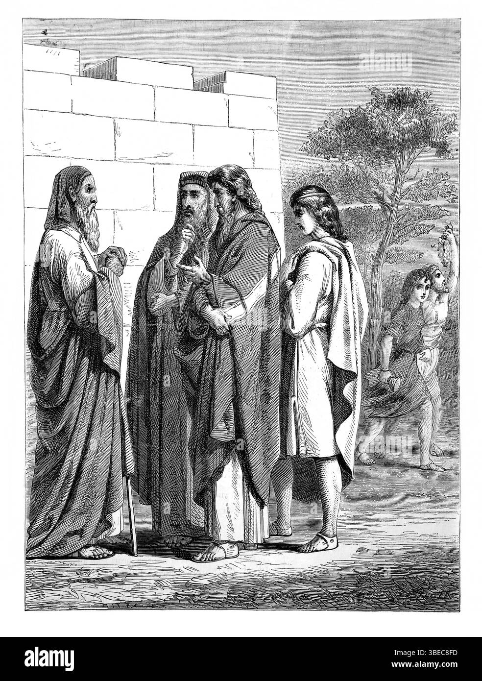 Wise w Cut Out Stock Images & Pictures - Alamy