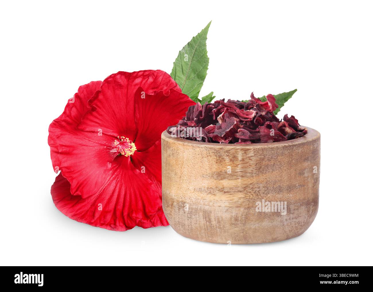Red hibiscus flower and bowl with dried calyces on white background ...