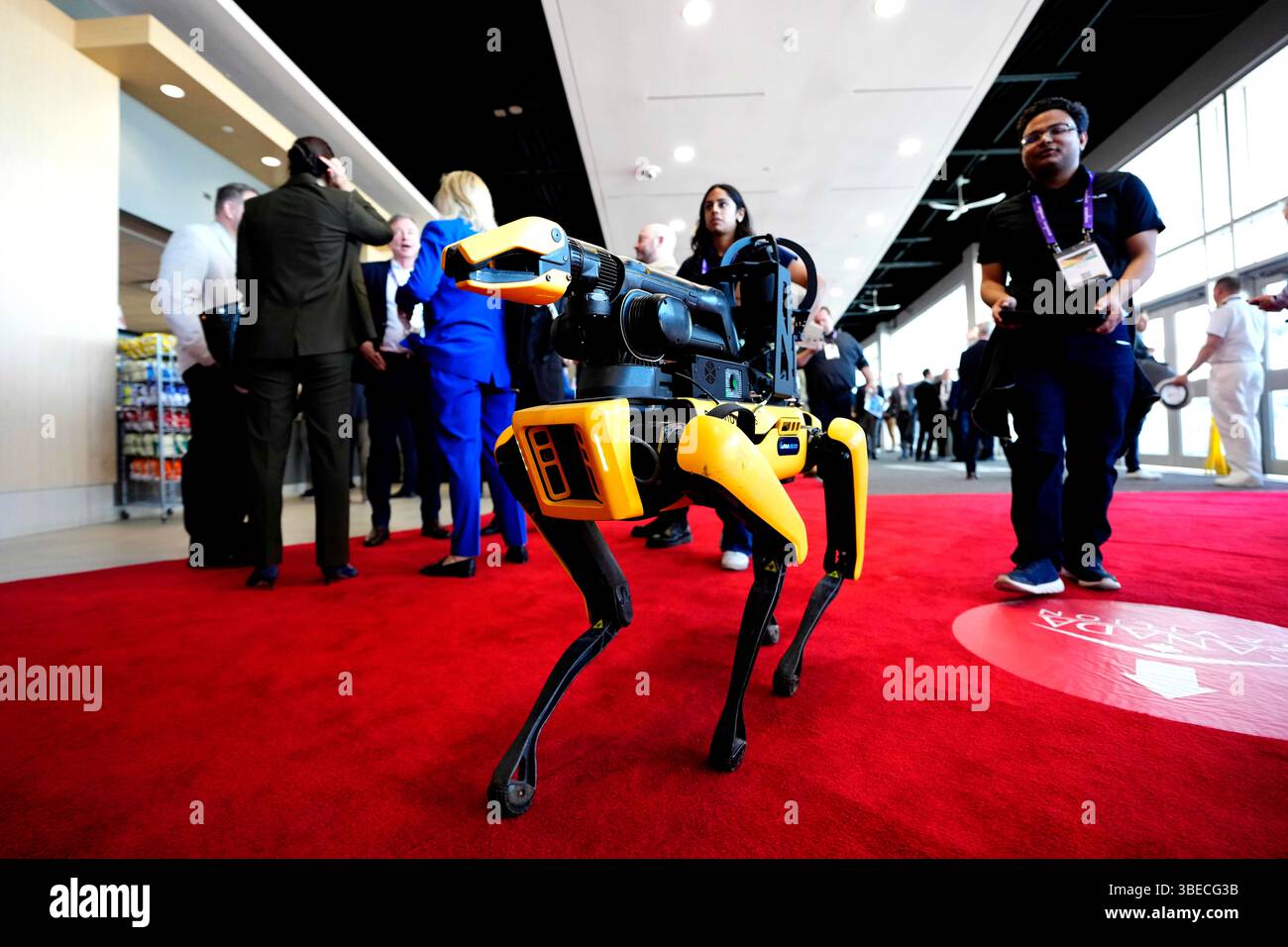 Ottawa, Can. 28th May, 2025. A Spot quadruped robot from Boston Dynamics is demonstrated at the ...