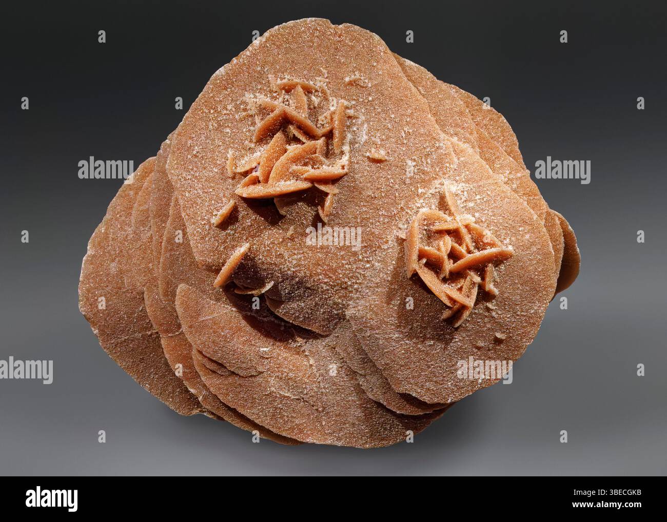 Gypsum crystals close up hi-res stock photography and images - Alamy