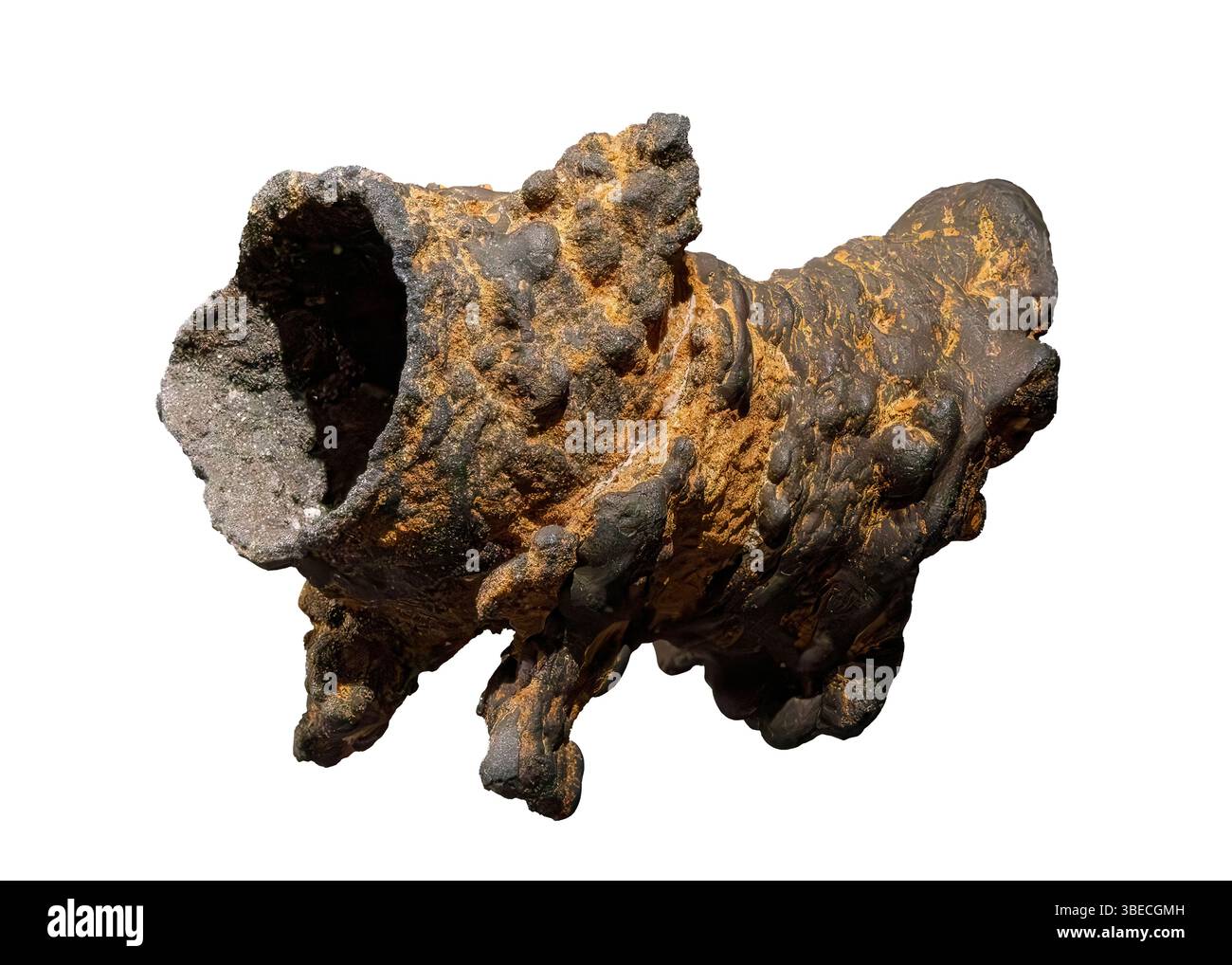 Manganese Biostructure, Chesapeake Bay, Maryland, USA Stock Photo - Alamy