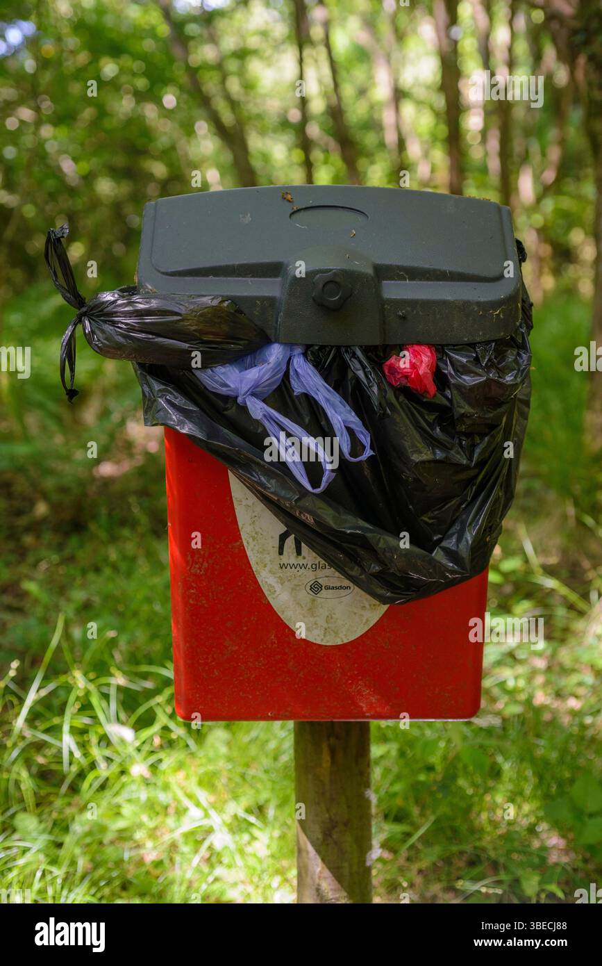 Dog poo bin, overflowing, full Stock Photo - Alamy