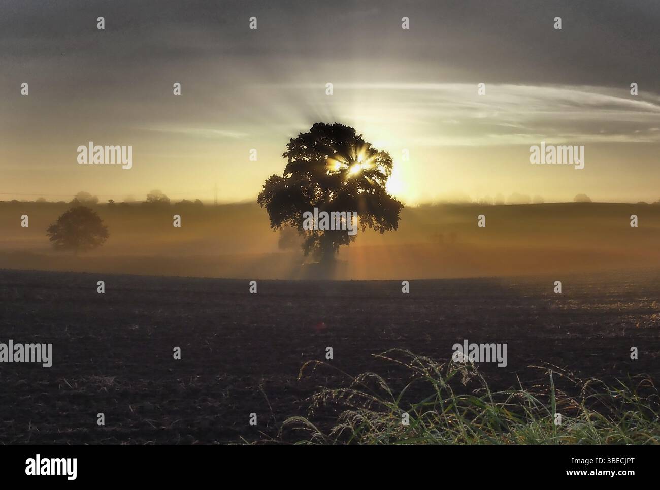 Dim yellow hi-res stock photography and images - Alamy