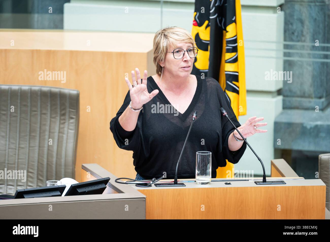 Minister Caroline Gennez Vooruit at the Flemish parliament plenary ...