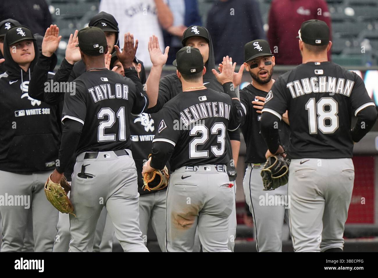 Chicago White Sox's Mike Tauchman (18), Andrew Benintendi (23) and ...