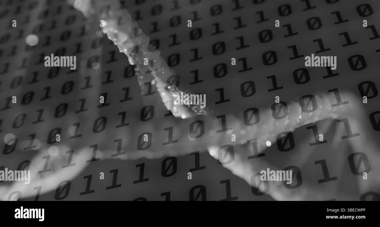 Image of binary coding data processing over dna strand spinning Stock Photo - Alamy
