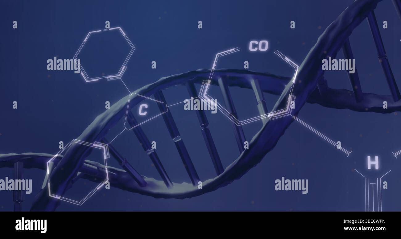 Image of chemical structures over dna strand spinning Stock Photo - Alamy