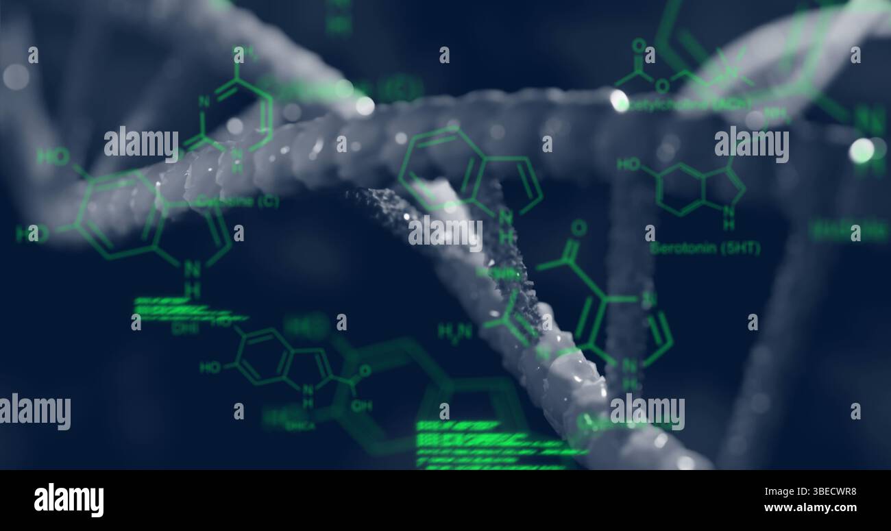 Image of chemical structures and data processing over dna strand spinning Stock Photo - Alamy