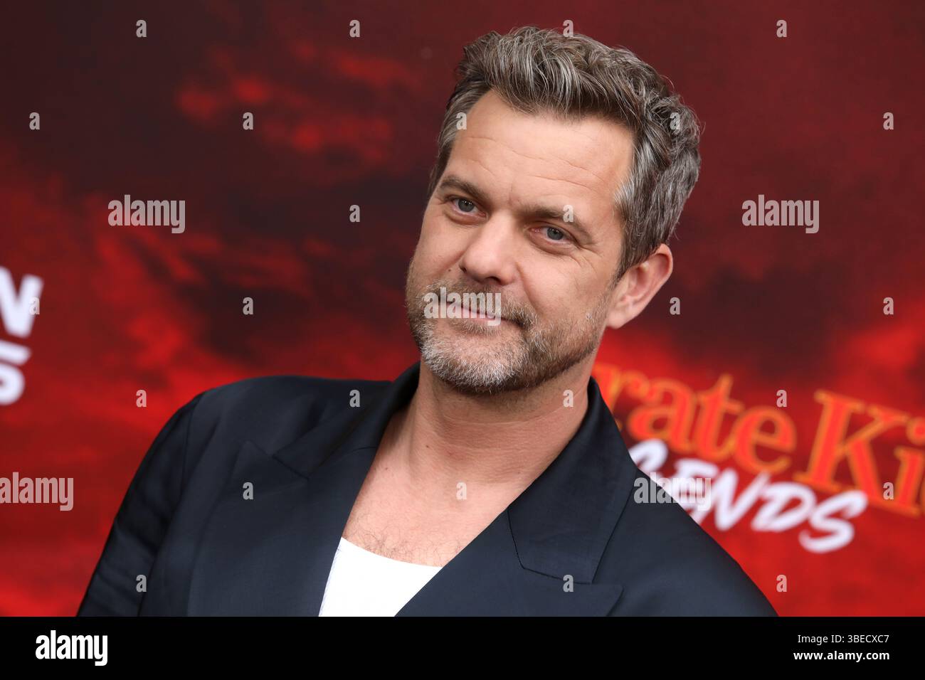 New York, New York, USA. 27 May 2025. Joshua Jackson attends the ...