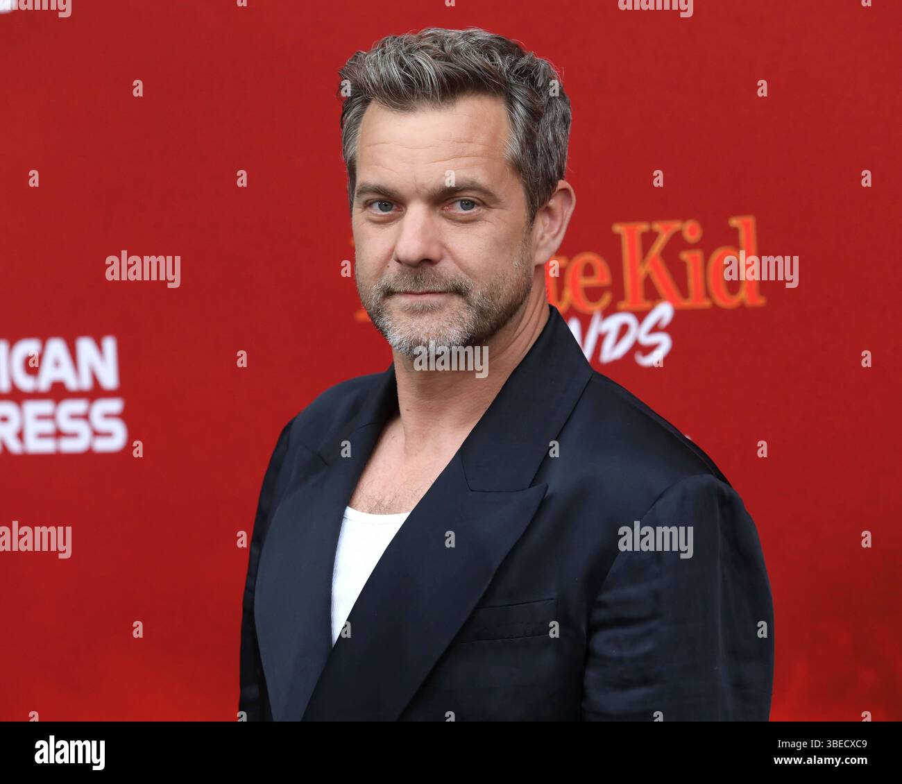 New York, New York, USA. 27 May 2025. Joshua Jackson attends the ...