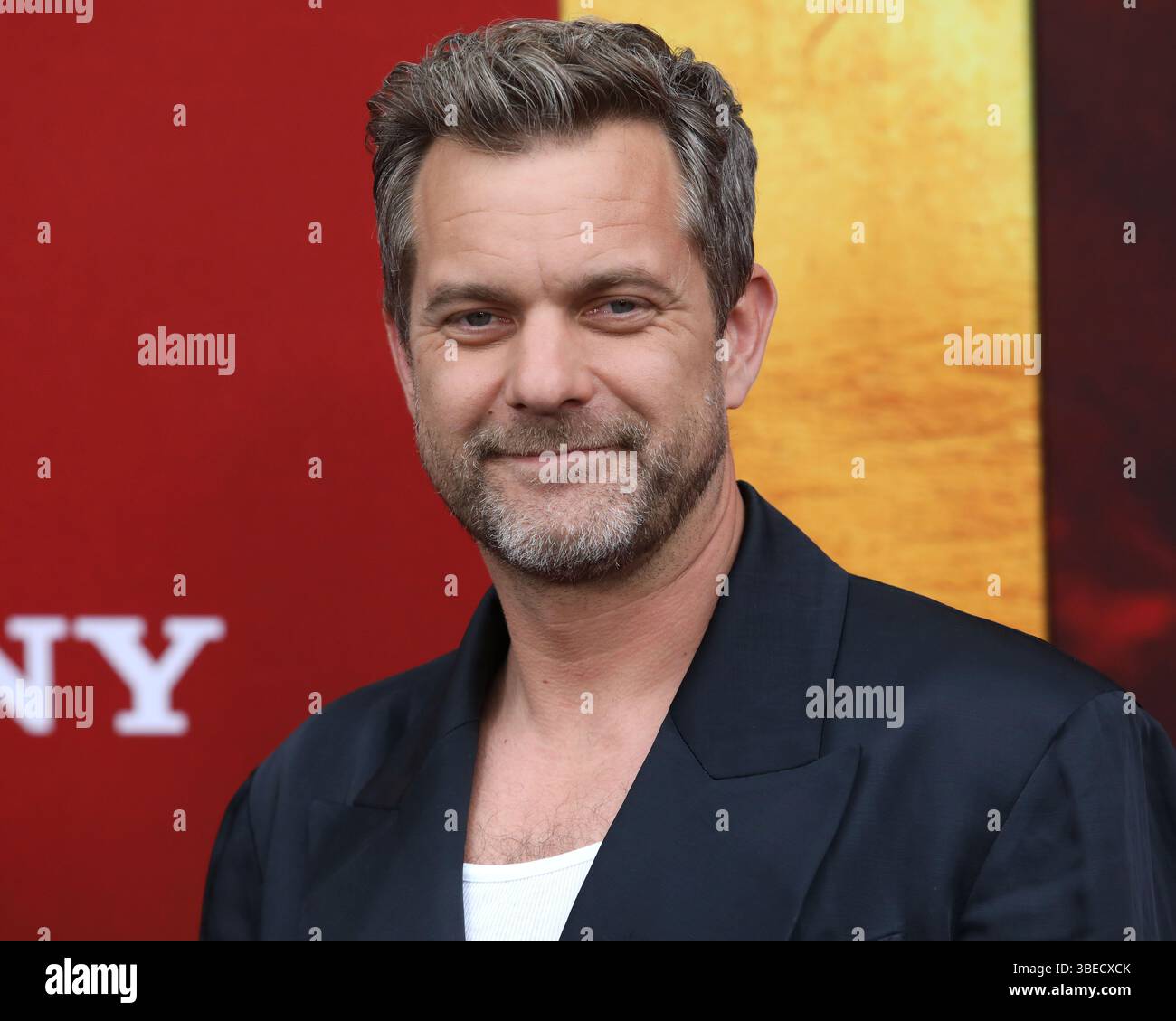 New York, New York, USA. 27 May 2025. Joshua Jackson attends the ...