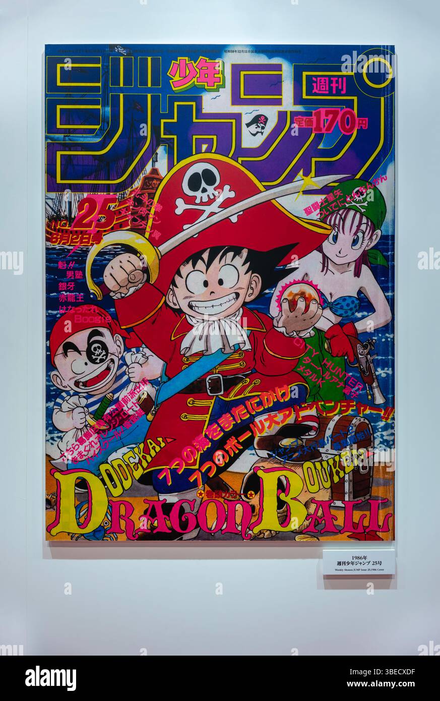 Tokyo, Japan - October 6, 2024: 9th cover of Dragon Ball manga ...