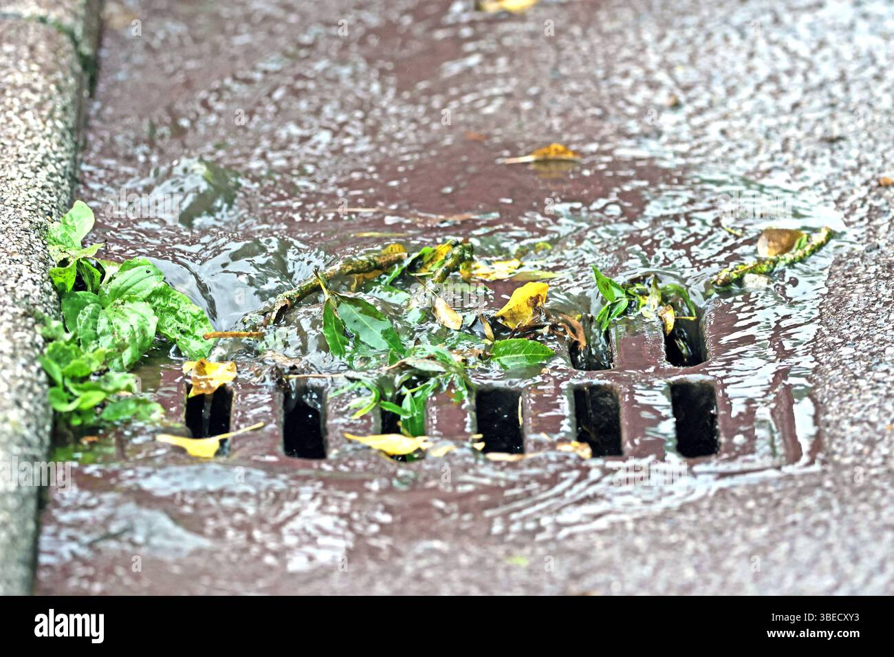Kanalisation an Straßen Regenwasser fließt bei kräftigen Regenfällen in ...