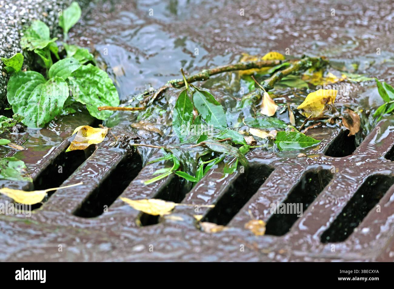 Kanalisation an Straßen Regenwasser fließt bei kräftigen Regenfällen in ...