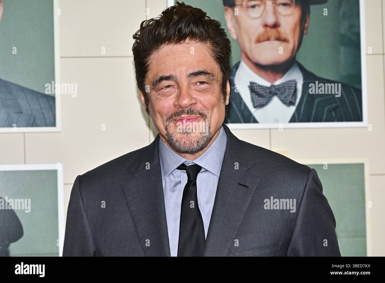 Benicio Del Toro attends the Focus Features' premiere of "The ...