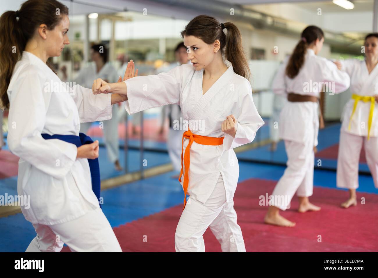 Women practice karate techniques in pairs Stock Photo - Alamy