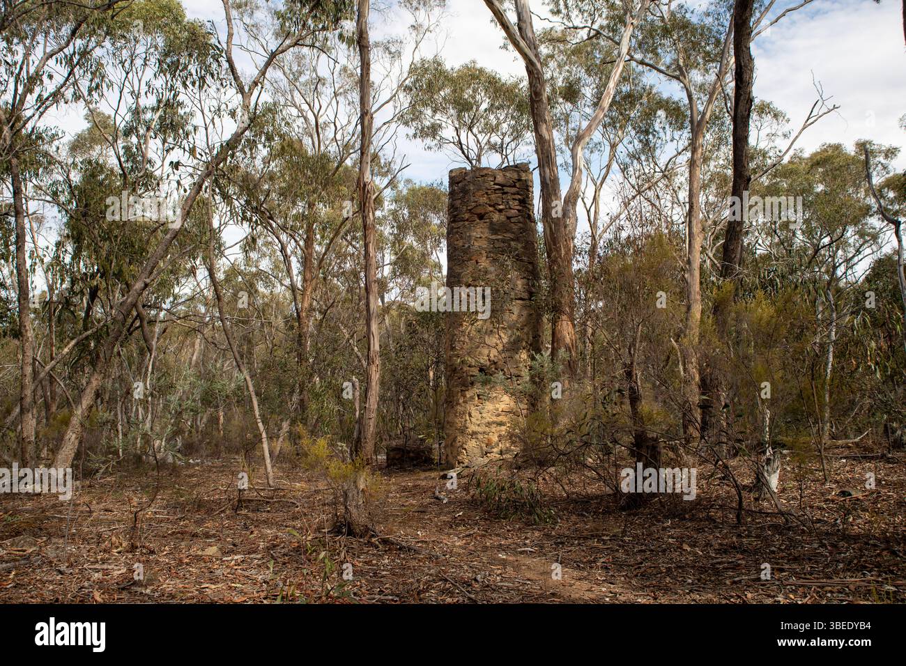 Gold mining chimney in the Australian bushland, Chewton Victoria Stock ...